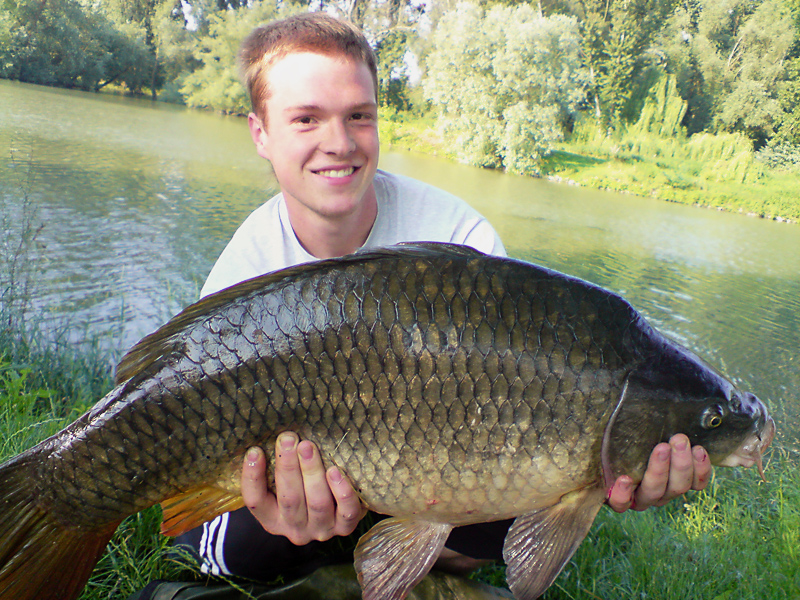 Karpfen (Schuppenkarpfen) (Cyprinus carpio (2)) | Fischlexikon